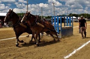 Dayton Fair – Dayton Fair