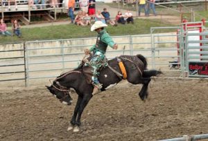 Dayton Fair – Dayton Fair